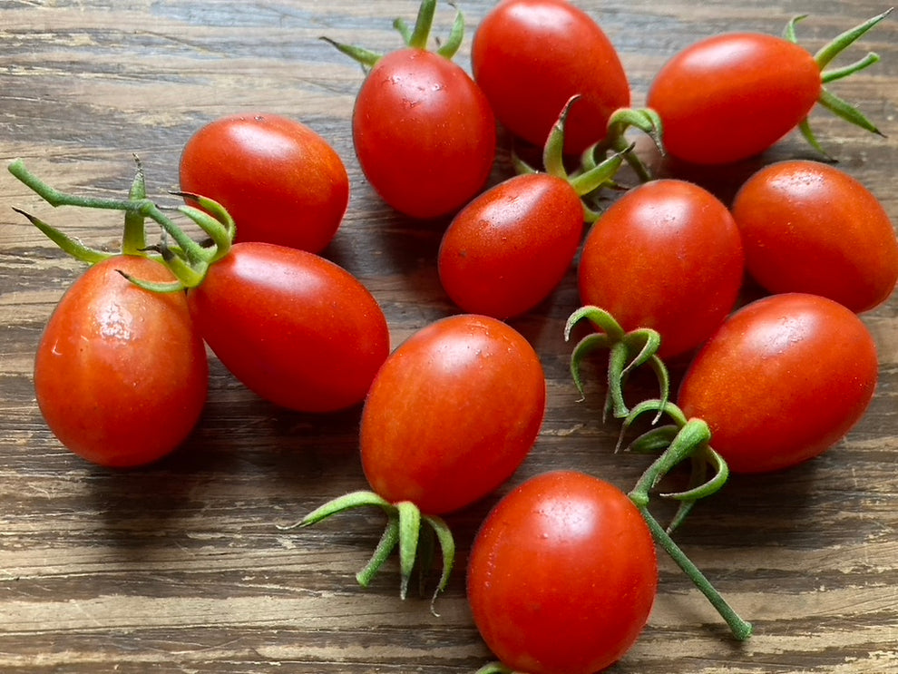 ORGANIC TOMATO; WILD; Rote Murmel – Esk Seeds and Plants